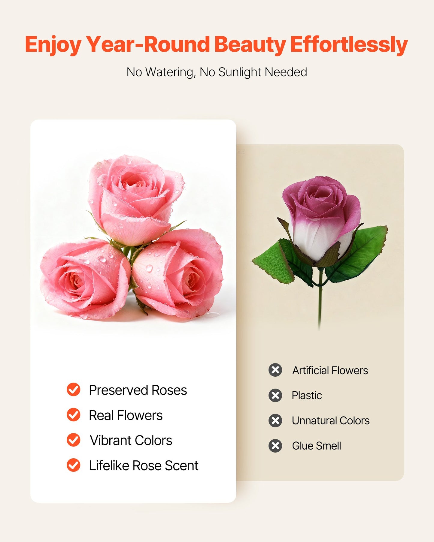 Forever Flowers, 27 Preserved Roses – Valencia Rose